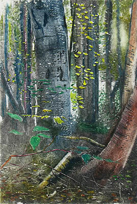 Wishart family of artists